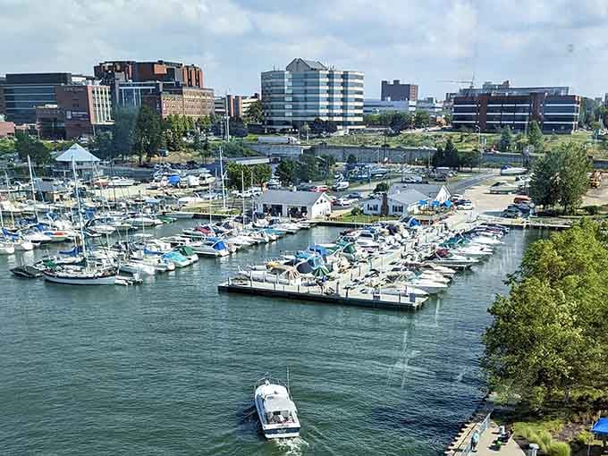 Marina life meets city skyline in this lakeside scene where boats bob peacefully and urban energy hums just beyond.