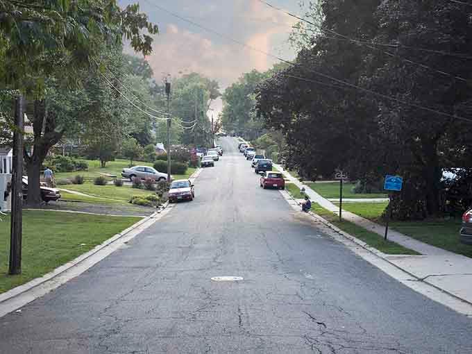 Tree-canopied streets stretch into the distance, promising peaceful neighborhoods where everyone still waves to passing cars like old times.