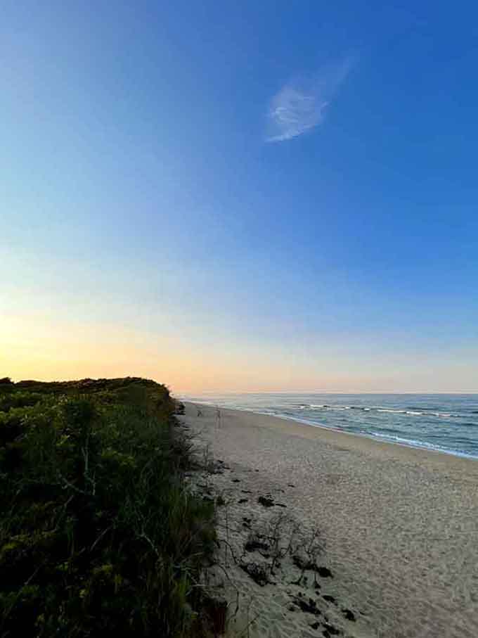 Sunrise paints the sky in sherbet colors while gentle waves kiss the shore in this tranquil coastal paradise.