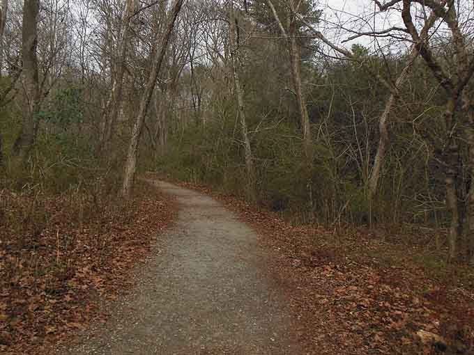 A leaf-strewn path disappears into bare winter woods, peaceful as a Robert Frost poem come to life.