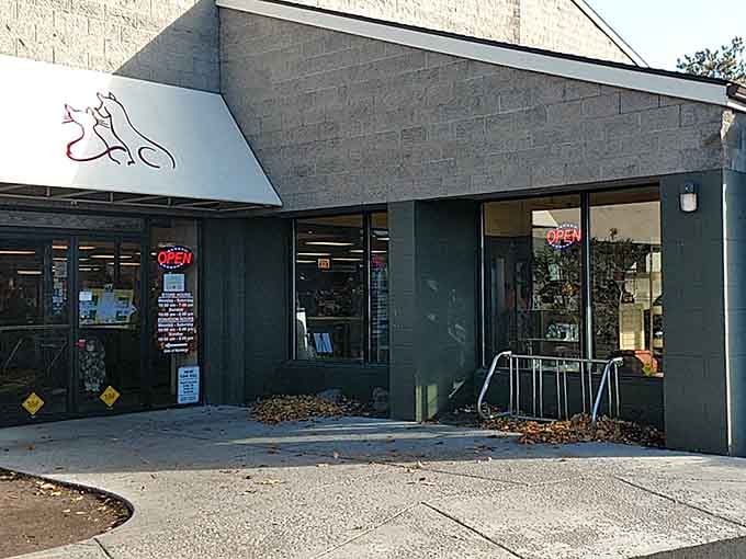 Where treasure hunting meets tail-wagging: this charming thrift shop proves doing good never goes out of style.