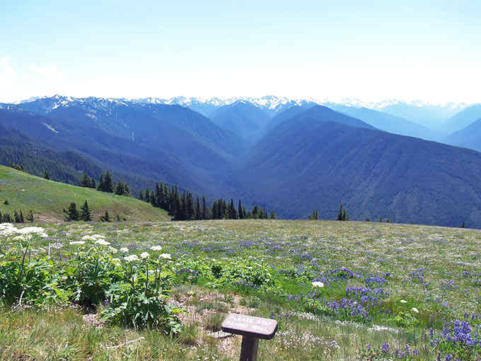 Those distant valleys fade into misty horizons, reminding you why people drive winding roads to stand exactly here.