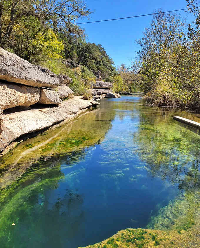 Layered limestone frames this natural pool where underground rivers meet sunlight in perfect Hill Country harmony.