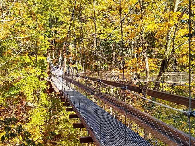 Golden autumn leaves surround the elevated walkway, creating a tunnel of color that stretches high above the forest floor.