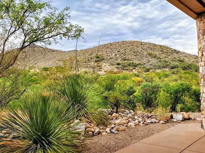 Spring brings bright green growth to the valley near Kartchner Caverns, proving Arizona has more colors than just brown and red.