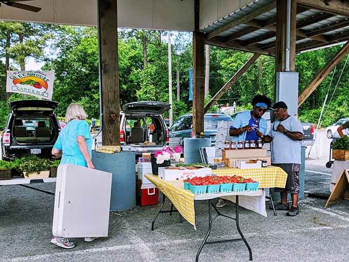 Fresh berries gleam like rubies on yellow-checked tables while neighbors gather, shop, and swap stories in the summer shade.