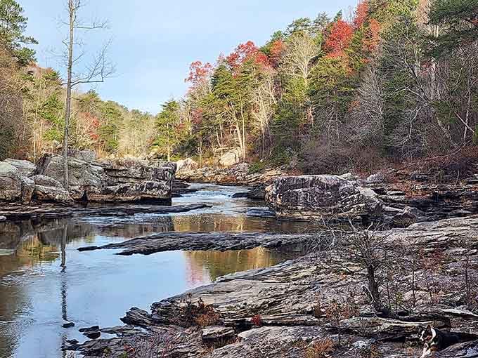 Autumn paints the canyon in reds and golds while the river mirrors the sky, doubling the beauty like nature's showing off.