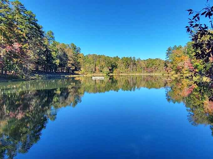 Fall colors frame the water's edge where trees and sky merge in a breathtaking display of symmetry.