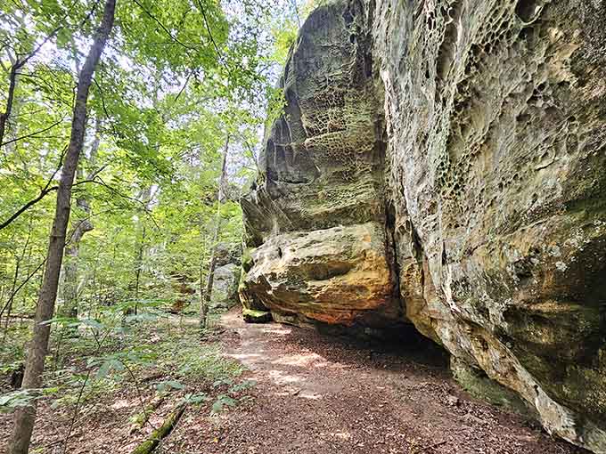 Towering sandstone walls line the forest path, their orange and tan layers telling stories older than memory.