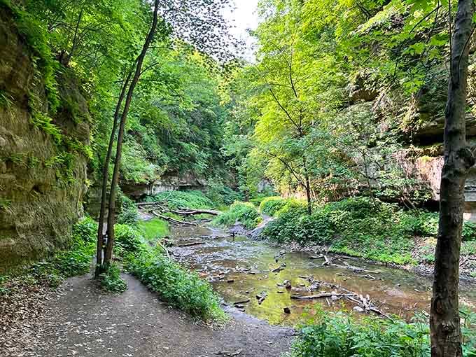 The creek meanders through lush greenery between towering canyon walls, creating a cool sanctuary that feels worlds away from everyday life.