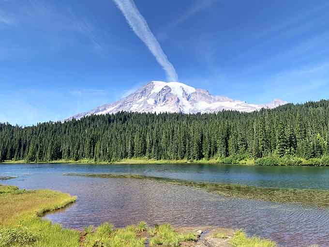 When the mountain reveals itself like this, even the trees seem to stand a little taller.