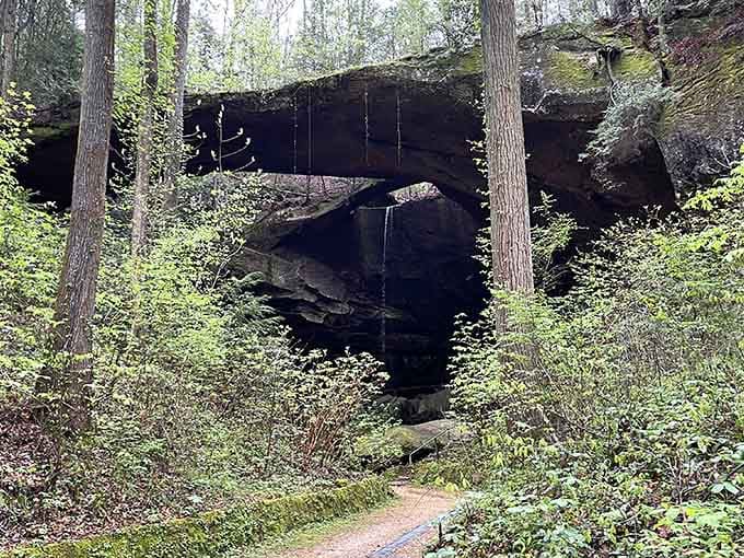 Springtime greenery frames this natural bridge like nature decided to show off her engineering degree.