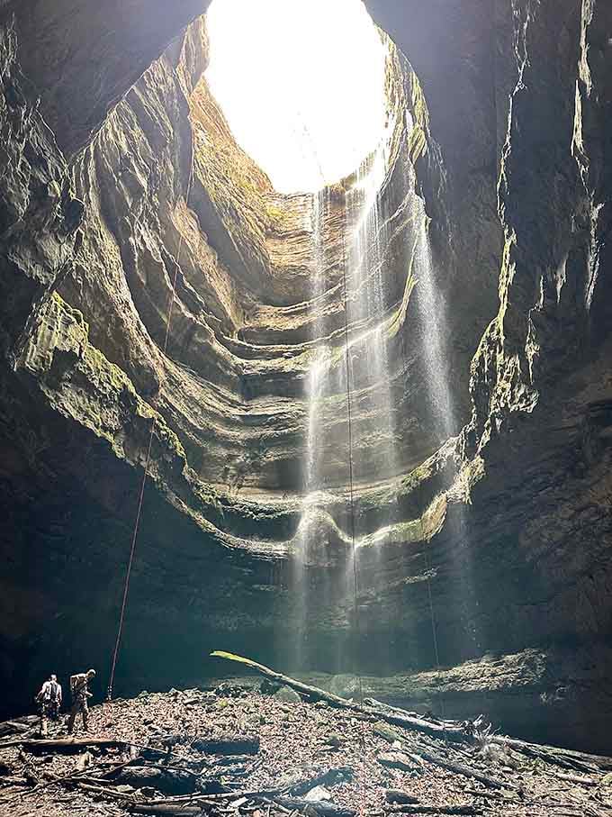 Looking up from the bottom reveals nature's perfect circle of sky framed by 162 feet of limestone and cascading greenery.