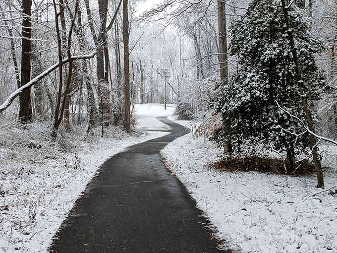 Snow transforms this Odenton path into a winter wonderland, proving four seasons means four times the natural beauty.