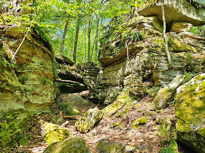 Moss-covered rock formations twist and turn through the woods like something from a Tolkien novel come to life.