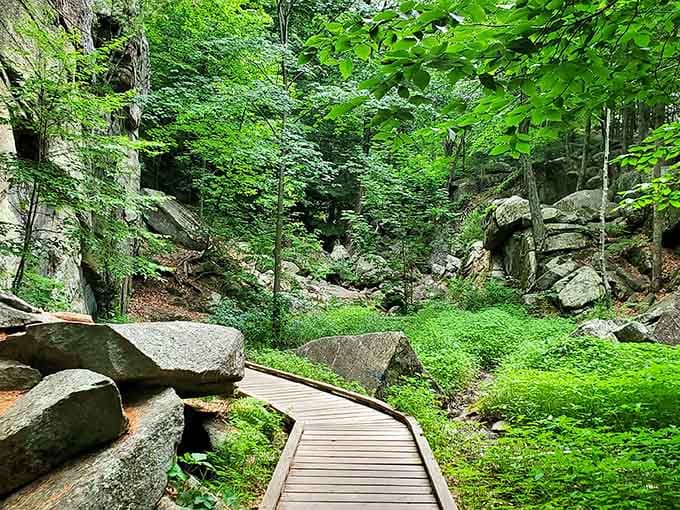 A wooden boardwalk curves through emerald moss and massive boulders, inviting exploration through this enchanting natural wonderland.