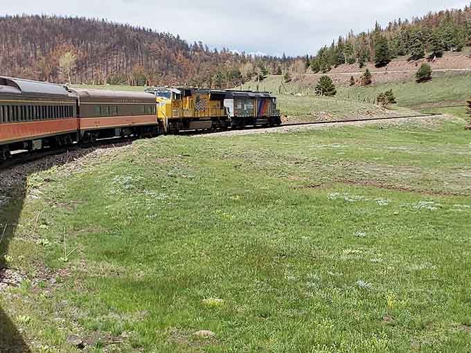Rolling through spring-green meadows where the grass looks soft enough to nap on, this train's got the best office view imaginable.