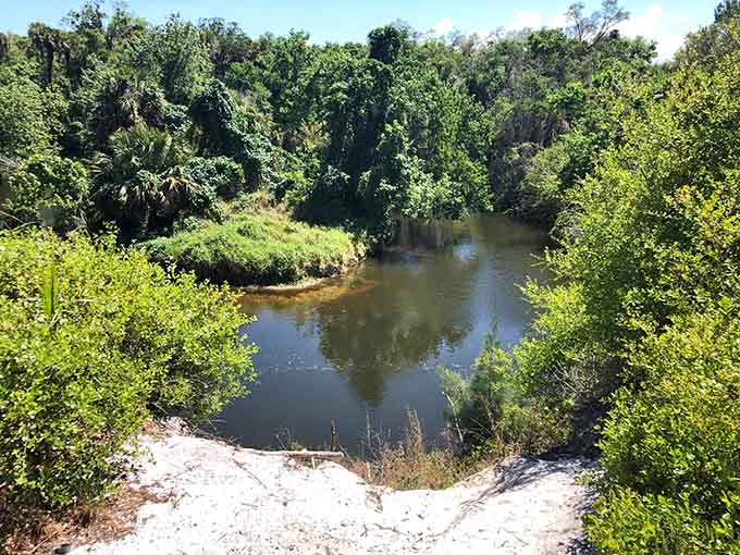 White sand meets dark water where the creek bends, creating contrast as striking as black-and-white television classics.