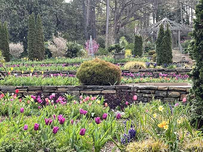 Purple tulips dance in the foreground while manicured pathways lead deeper into this peaceful botanical wonderland that's completely free.