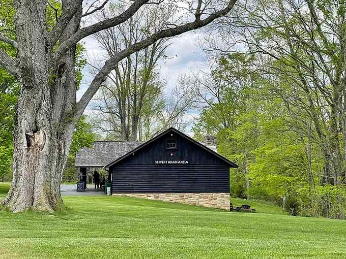 The museum building nestles quietly among trees, guarding mysteries of the mound builders who came before us.
