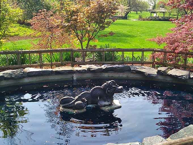 A tranquil koi pond where ornamental fish glide beneath spring blossoms—nature's own living watercolor painting in motion.