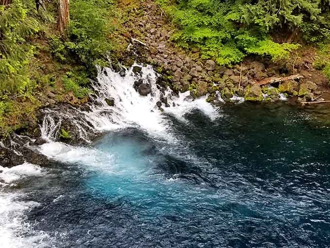 Crystal-clear turquoise water bubbles up from underground springs, creating nature's own infinity pool in the wilderness here.
