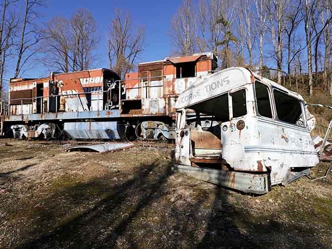 Rusted train cars slowly surrender to the forest, their movie-star days behind them but their photogenic appeal still strong.