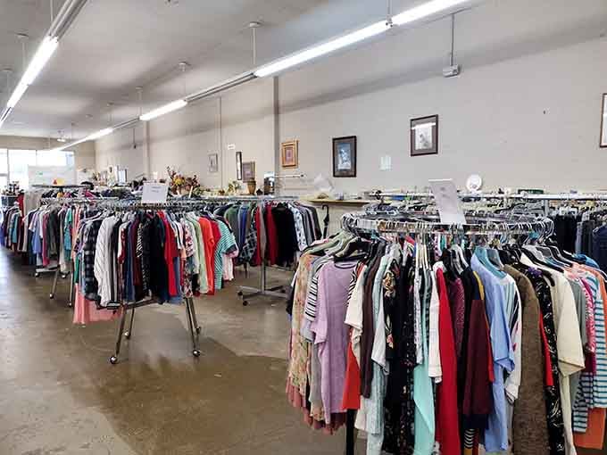 Spacious aisles and natural light make browsing feel less like hunting and more like a leisurely Sunday stroll.