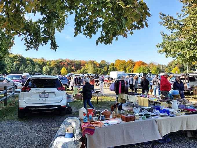 Rows of vendors stretch across the field like a treasure map, each stop offering potential discoveries under fall foliage.