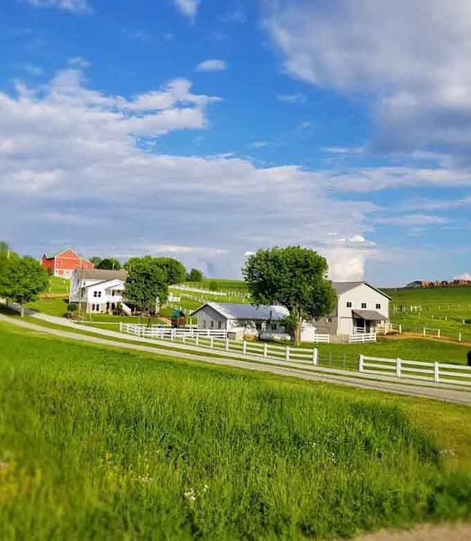 White fences frame farmhouses where life moves slower and your paycheck stretches further than you imagined possible.