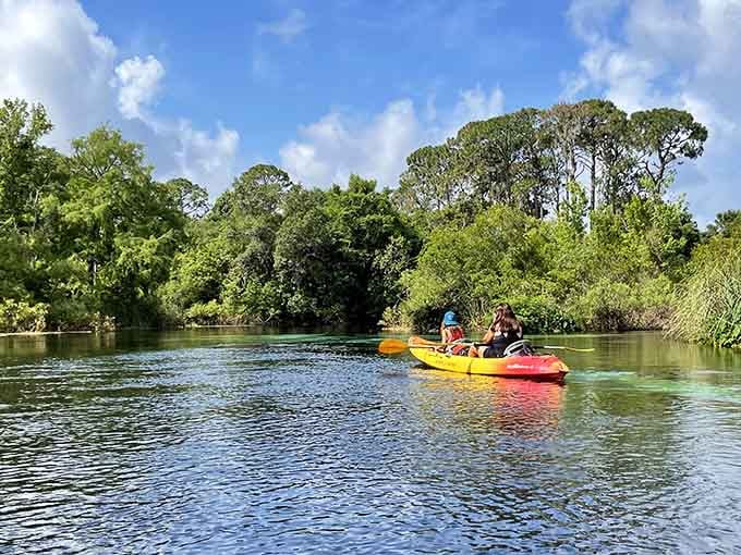 Paddling down this peaceful river feels like discovering Florida the way it existed long before theme parks arrived.