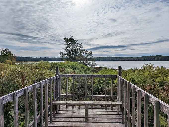 This weathered wooden overlook frames the lake perfectly, inviting you to sit and watch the world slow down.
