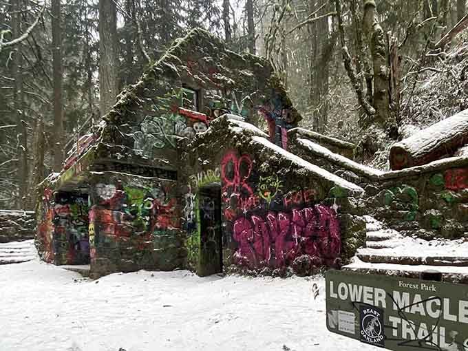 Winter snow blankets this mysterious forest ruin, transforming it into a scene from a fairy tale.