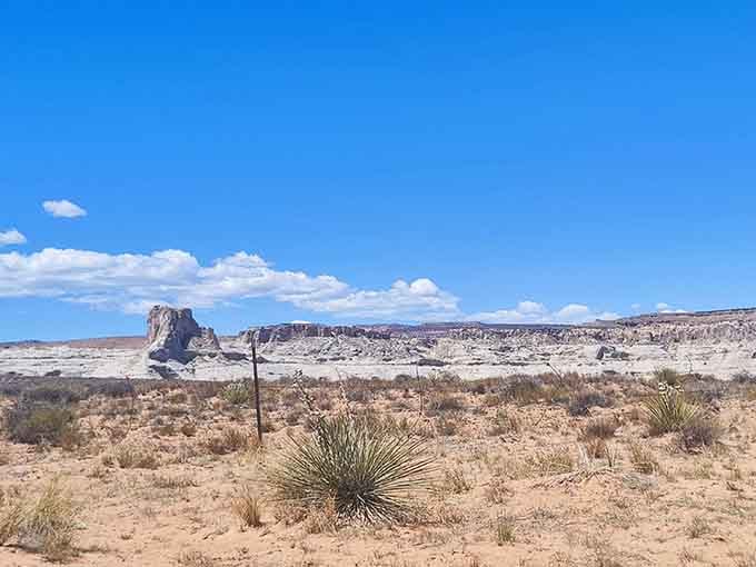 The terrain surrounding these signs tells its own story of geological time and stubborn desert beauty that endures.