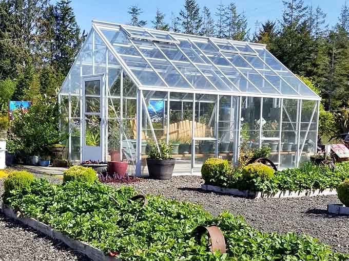 Westport Winery's greenhouse grows more than plants&mdash;it cultivates the kind of peaceful moments money usually can't buy.