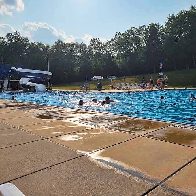 Summer in small-town Pennsylvania means community pools where everyone knows your name and your cannonball technique.