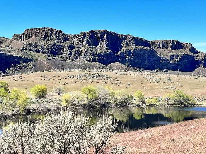 Shrubs and wildflowers frame the lake like nature hired a professional landscape designer with impeccable taste.