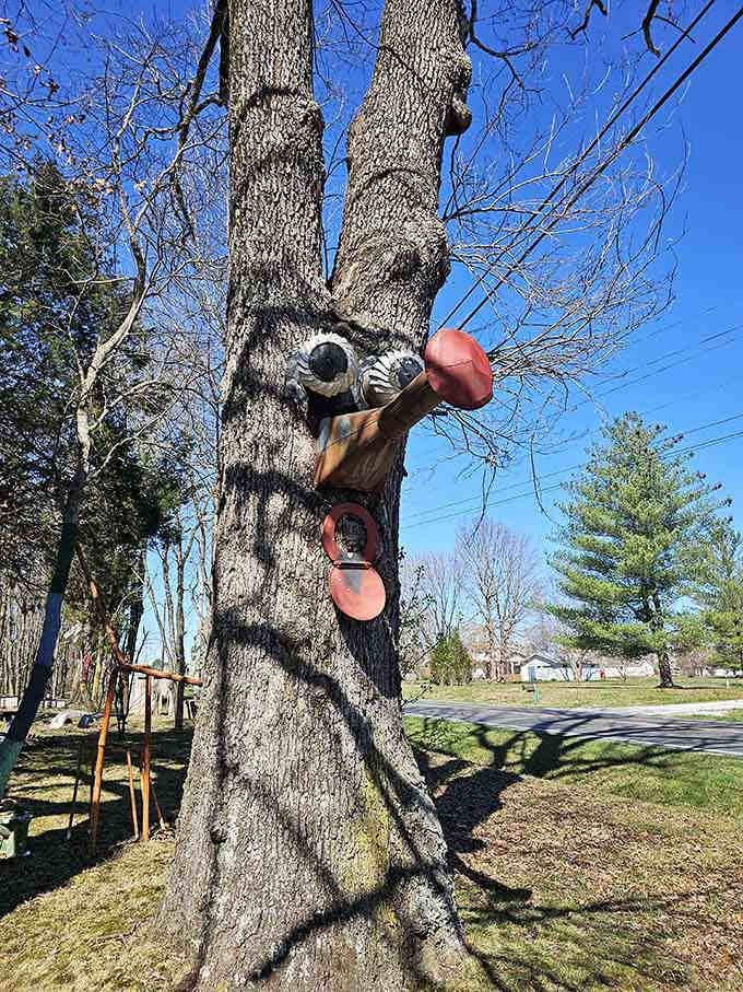 Trees become canvases for assemblage folk art, turning nature itself into part of the artistic experience.