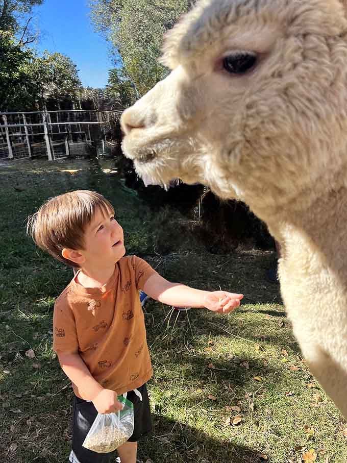 That face says "I've been waiting for you" and honestly, how could anyone possibly resist this moment?