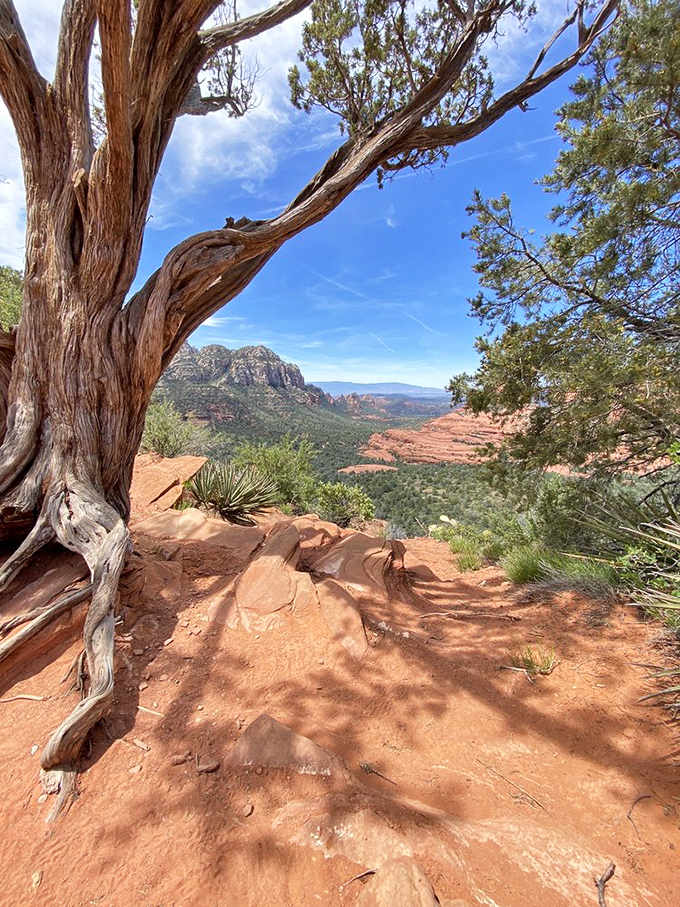 Ancient juniper trees frame views that have inspired artists, mystics, and now you with your smartphone camera.