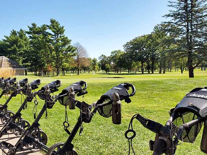 Those golf carts are lined up like eager students waiting for recess on this pristine fairway paradise.