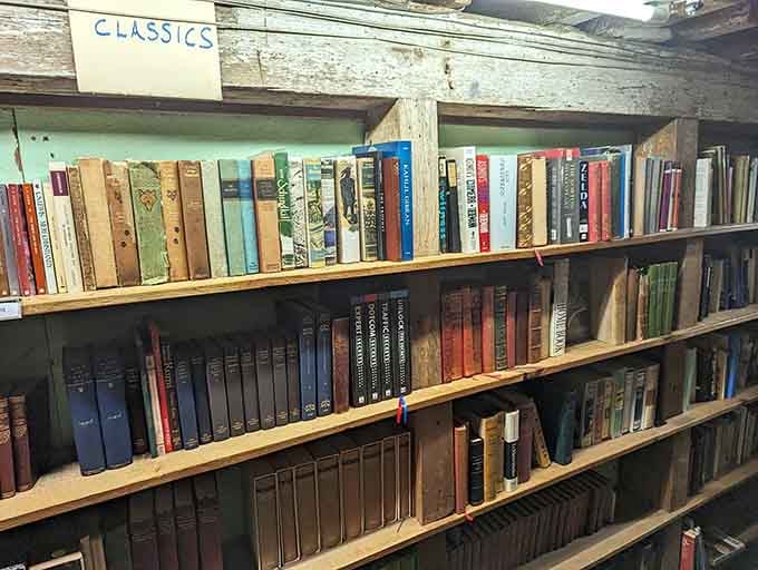 The classics section looks like your English professor's dream library, minus the pop quizzes.