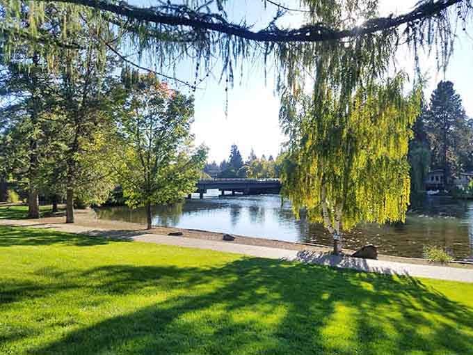 Drake Park's willow trees framing Mirror Pond like Mother Nature hired a professional landscape designer for this shot.