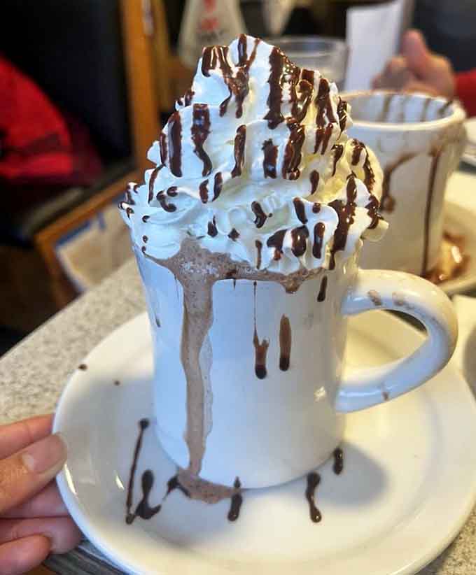 Hot chocolate topped with whipped cream architecture that defies gravity and common sense in the best way.