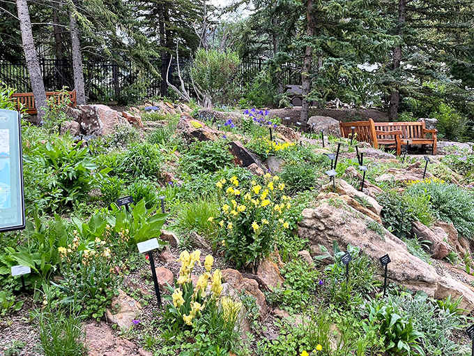 Benches strategically placed among the blooms remind you that stopping to smell the roses isn't just a saying here.