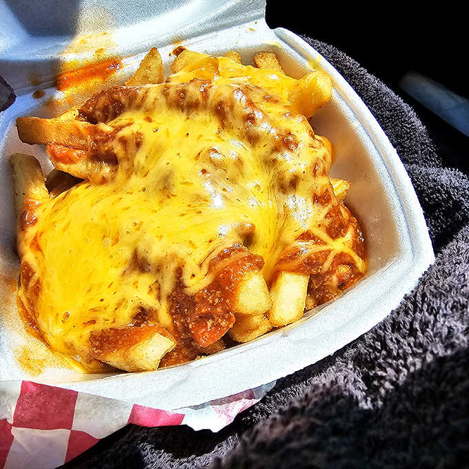 Chili cheese fries that look like they could solve most of life's problems, or at least make you forget them.
