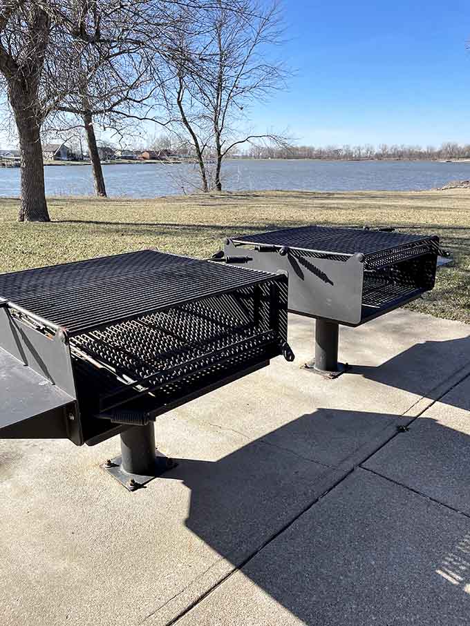 These grills have seen more family cookouts than your uncle's backyard, and they're ready for your contribution.