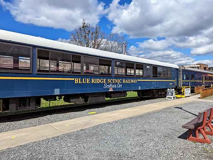 The Blue Ridge Scenic Railway sits patiently, ready to transport you through mountains without requiring you to actually drive through them.