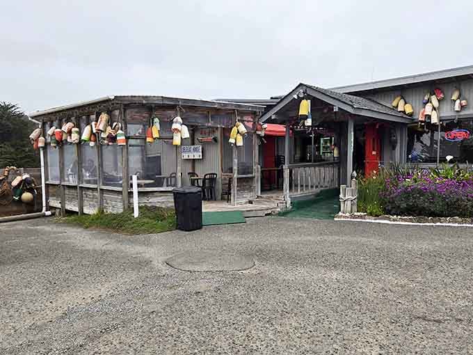 Colorful buoys decorating a seafood shack: the coastal equivalent of a Michelin star, basically.