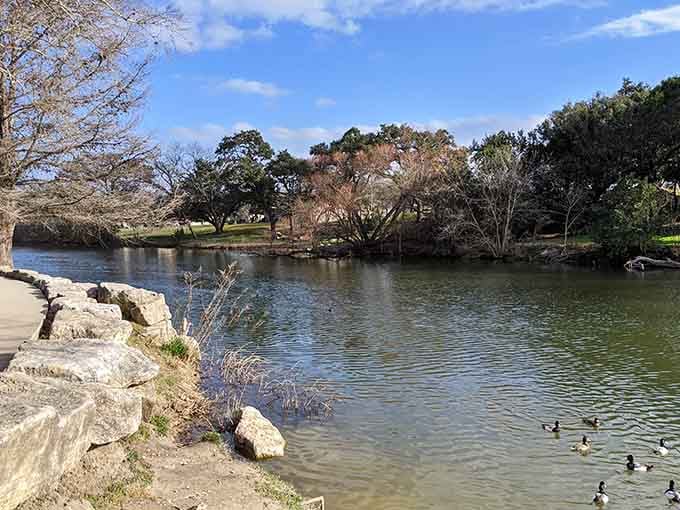 River Road Park's calm waters attract ducks who clearly know a good neighborhood when they see one.